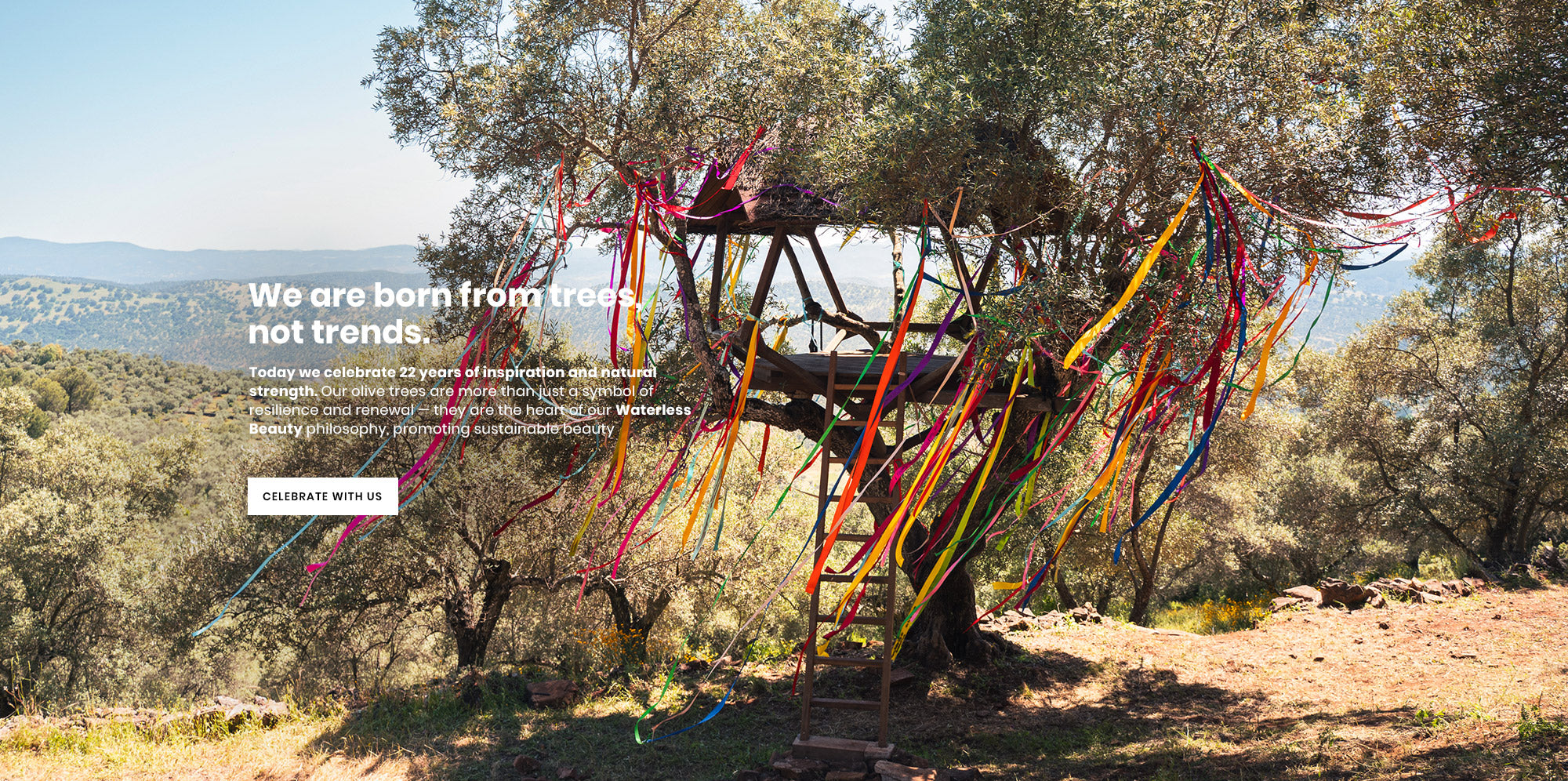 OLIVE TREE PEOPLE | From Tree to Beauty