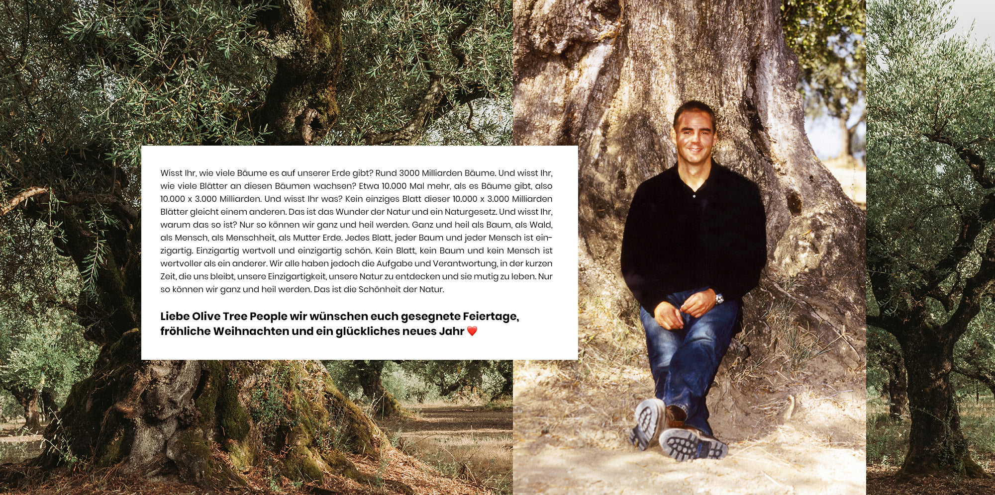 OLIVE TREE PEOPLE | From Tree to Beauty